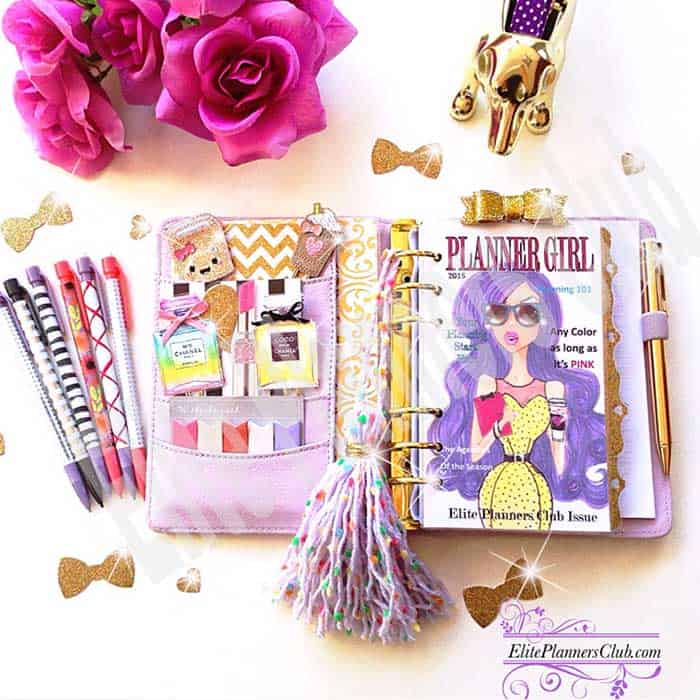 12 Super Fun Dashboard Ideas For Your Planner Paperly People